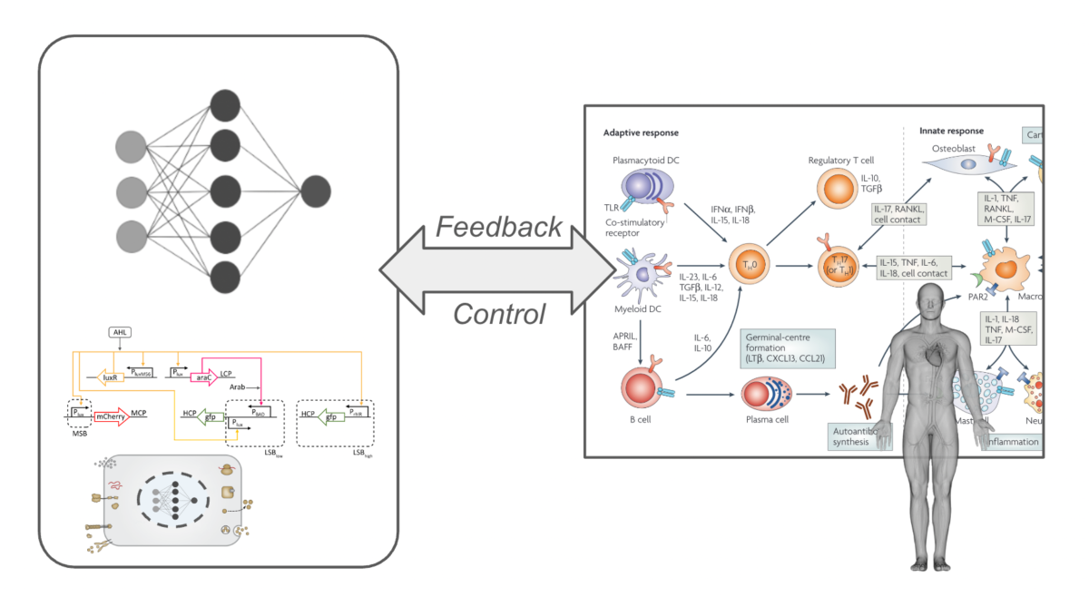 RESEARCH – Belta Research Group